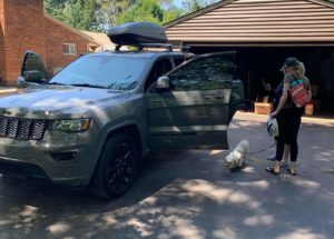 Thule Sidekick 682 Rooftop Carrier Cargo Box Rental